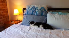 Super Sleeper Pro Original Mattress Topper reviews | ProductReview.com.au