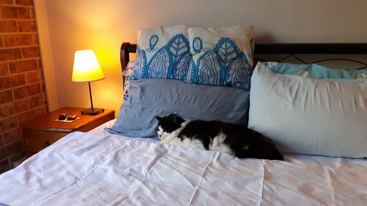 Super Sleeper Pro Original Mattress Topper reviews | ProductReview.com.au