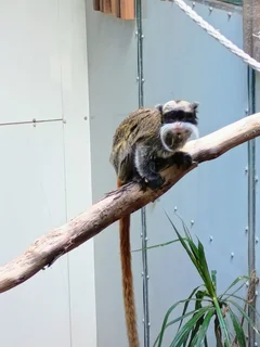 Best Banks in Queensland in 2026 as reviewed by Australian consumers ...