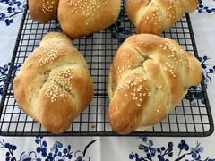 Panasonic SD-2501 reviews | ProductReview.com.au