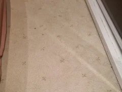 Absolute Domestics reviews | ProductReview.com.au