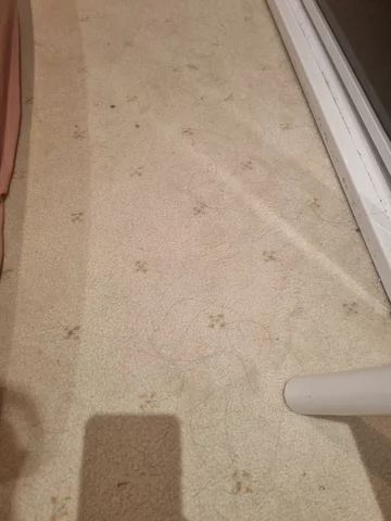 Absolute Domestics reviews | ProductReview.com.au