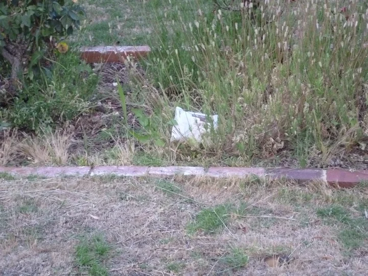 Parcel Freight Logistics (PFL) reviews | ProductReview.com.au