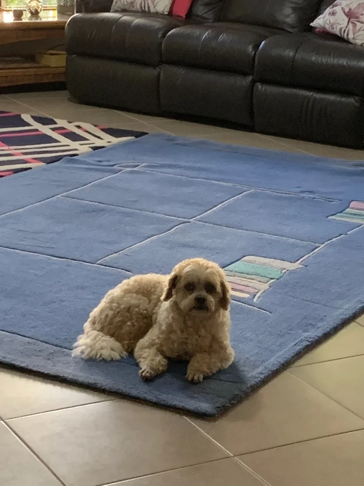 Electrodry reviews | ProductReview.com.au