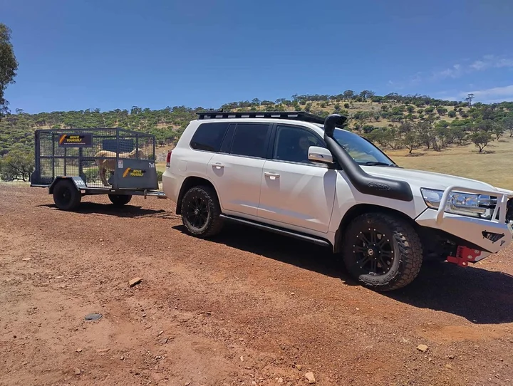 Move Yourself Trailer Hire reviews | ProductReview.com.au