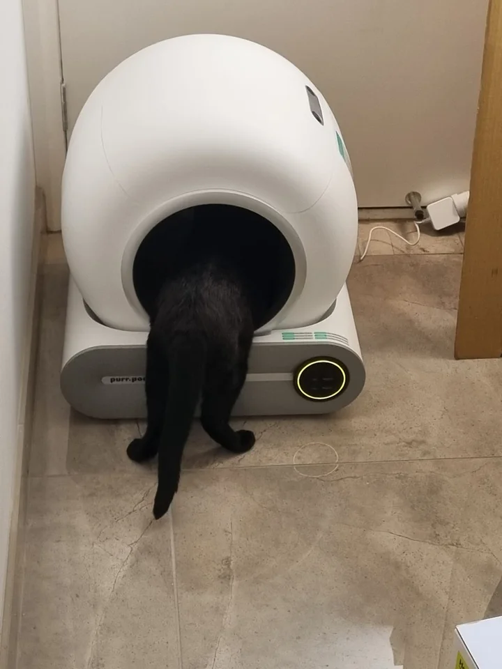 Purr-Pod Smart Litter Box reviews | ProductReview.com.au