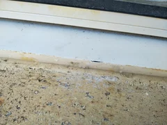 Jason Windows reviews | ProductReview.com.au