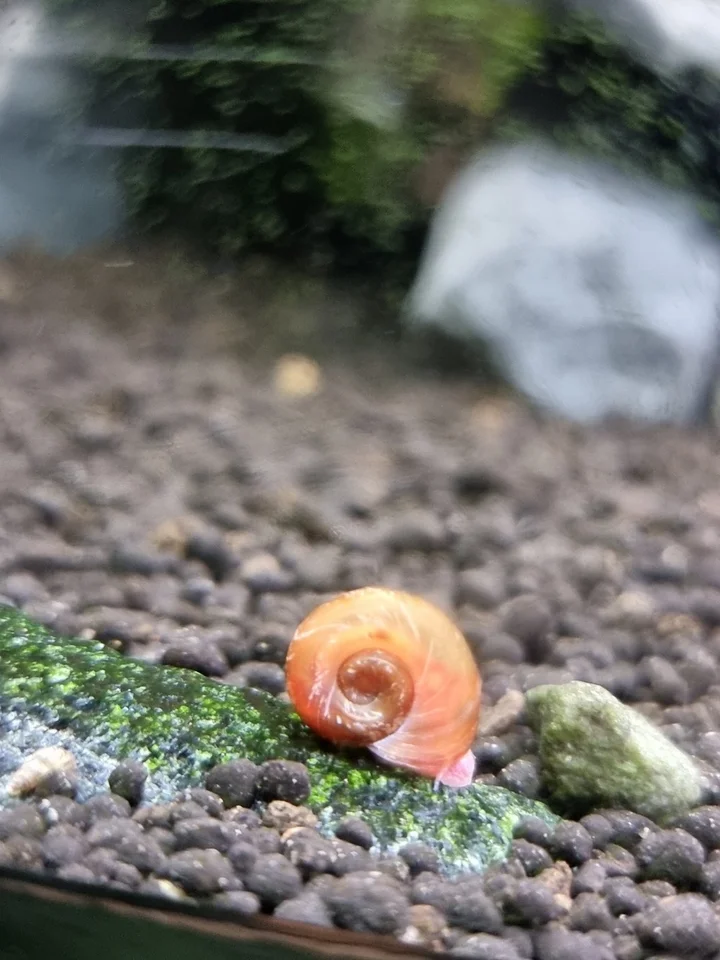 Micro Aquatic Shop reviews | ProductReview.com.au